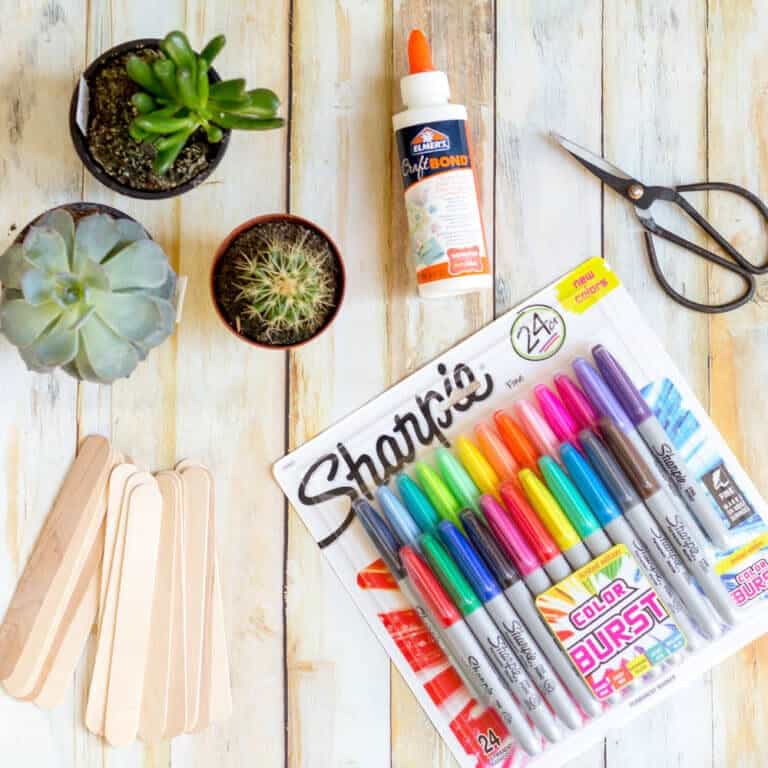 DIY Popsicle Stick Planter Tutorial - Easy Project to Make With Kids